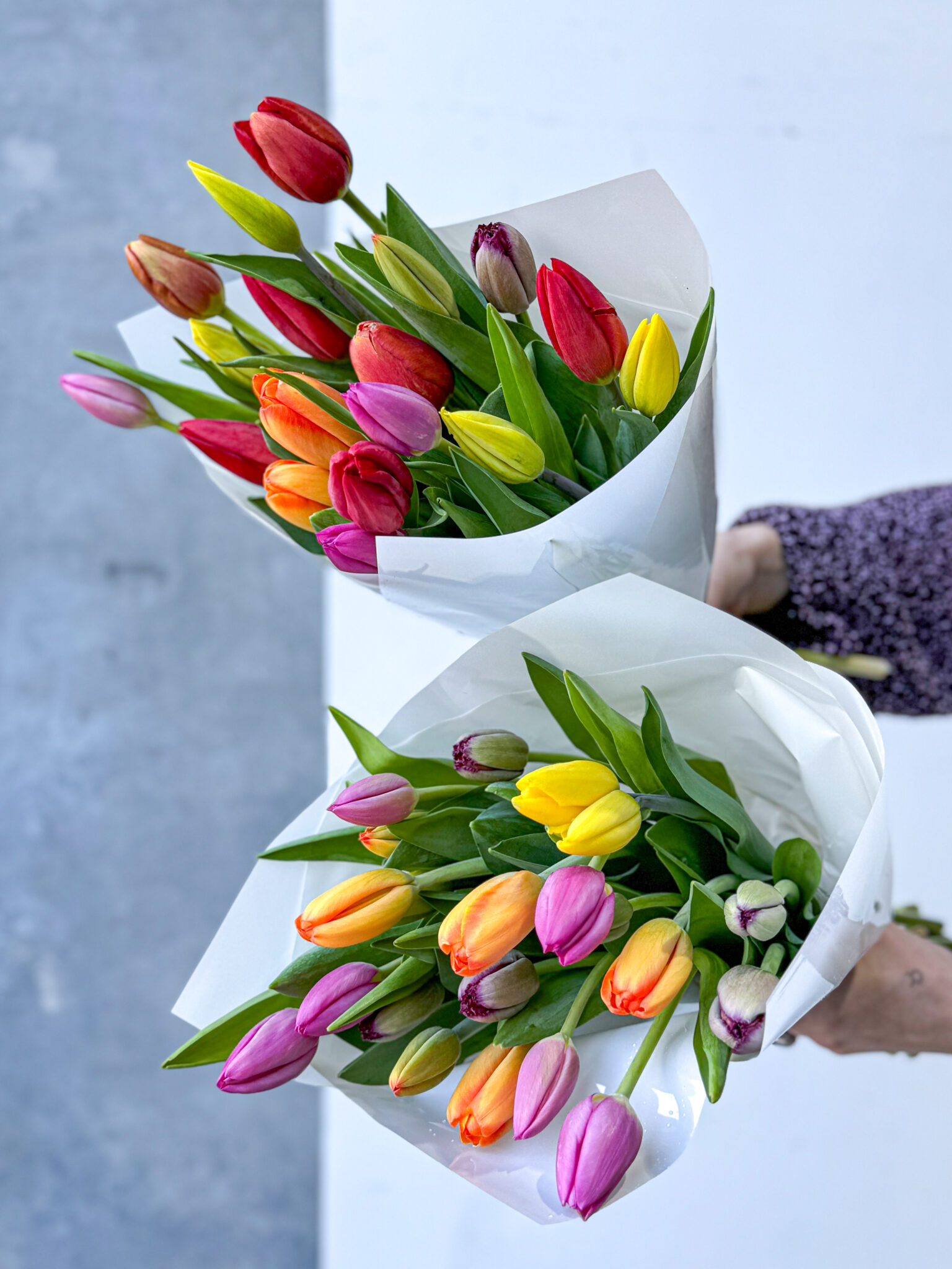 Flower Delivery Brisbane - Florist Brisbane | Flowers Online | Poco Posy