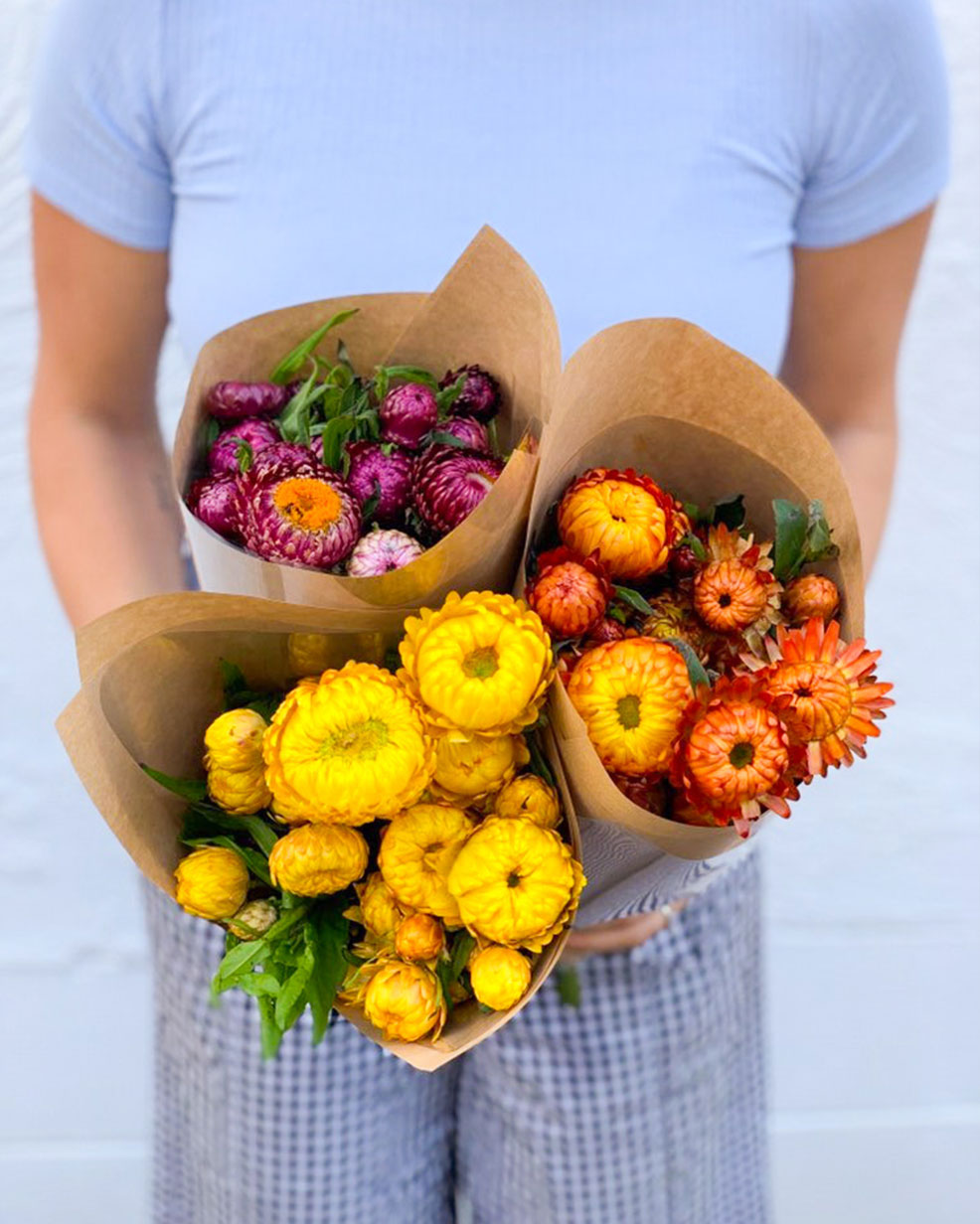 Colour of Flowers and Their Meaning