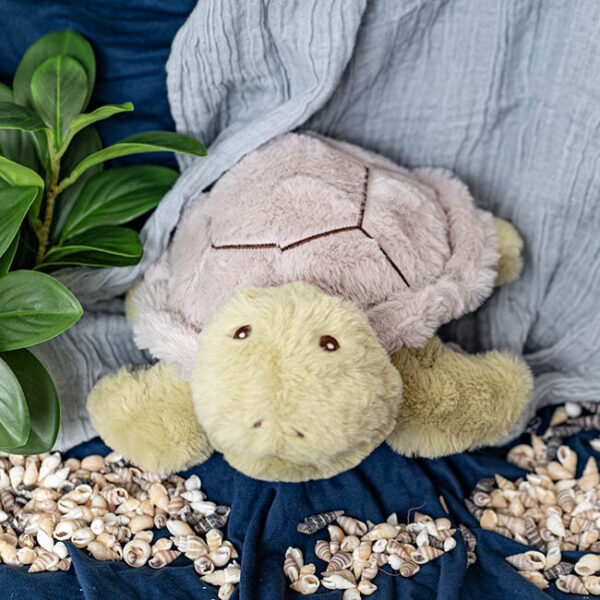 Tommy the Turtle | Poco Posy