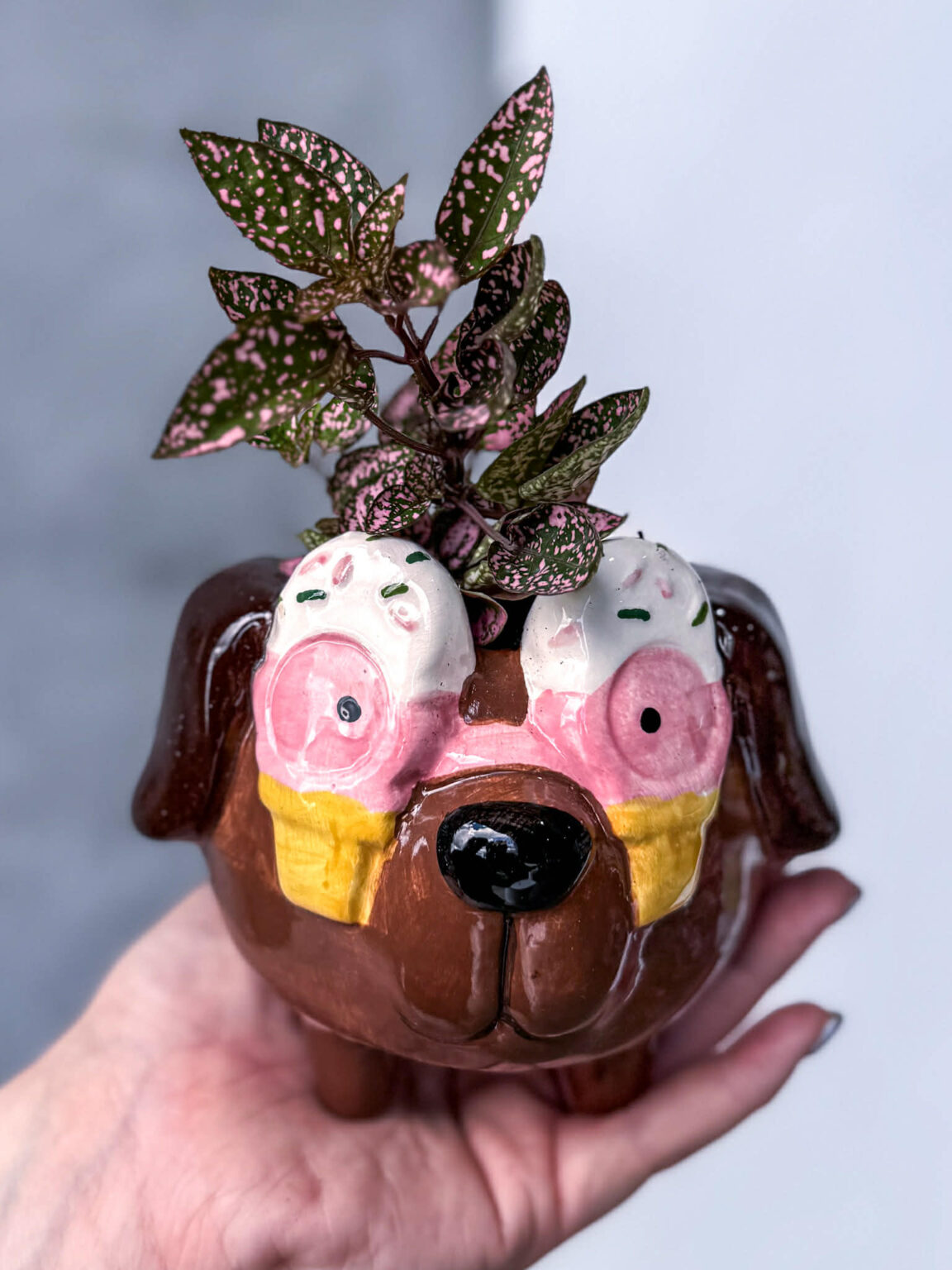Neapolitan the Dog | Poco Posy