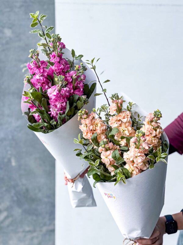 Stock Flowers - Poco Posy